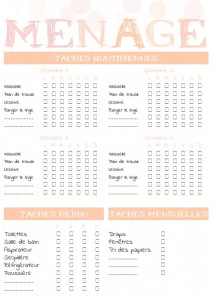 Ménage écologique, économique, et facile : les bases | Clémentine la ...