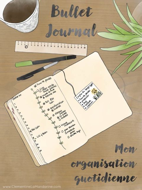 Bullet journal – Mon organisation quotidienne | Clémentine la Mandarine